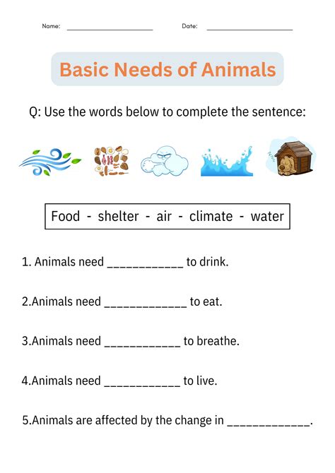 Plants and Animals Basic Needs - SKS Search