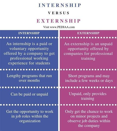 Extern vs Intern Differences Explained - SKS Search