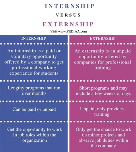 Extern vs Intern Differences Explained - SKS Search