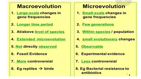 Micro vs Macro Evolution Explained - SKS Search