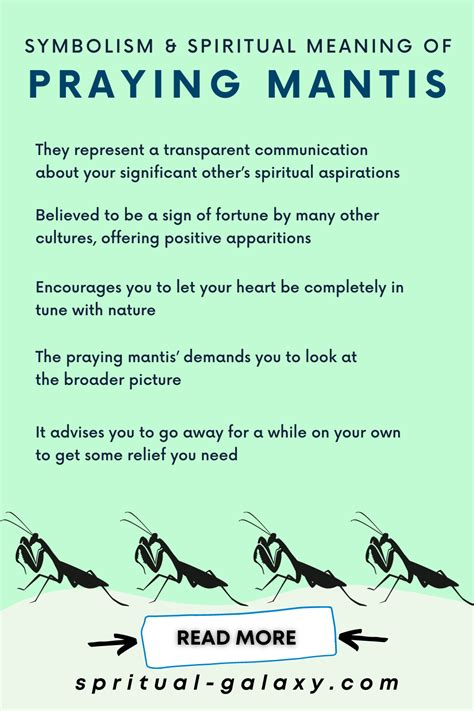 5 Mantis Symbolism Meanings - SKS Search
